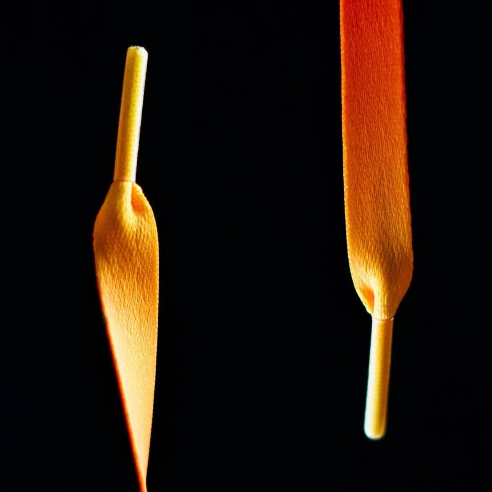 Laces | (Fire Gradient) – Fuego, Inc.